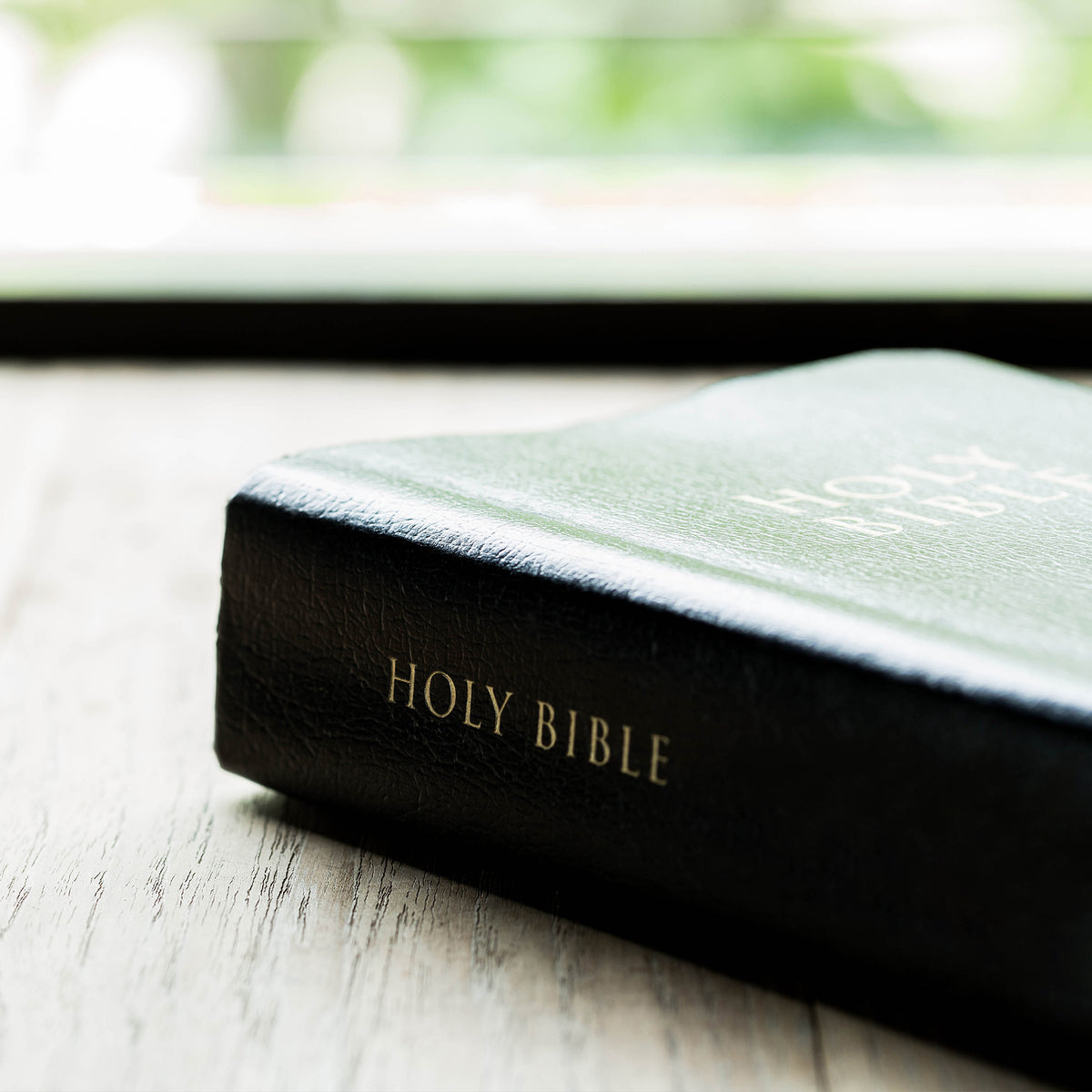 Holy Bibles – Archangel Creations
